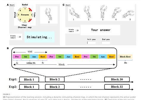 Figure 1 From Substitutive Proprioception Feedback Of A Prosthetic