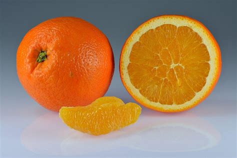 El Fascinante Viaje Histórico De La Naranja Origen Variedades Y