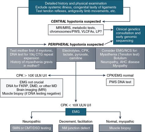 Neonatal Hypotonia And Neuromuscular Disorders Clinical Tree