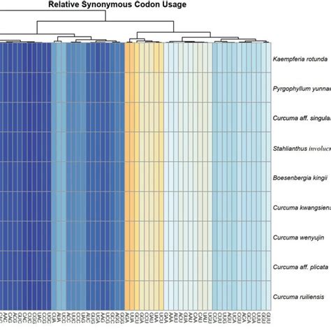 Relative Synonymous Codon Usage Rscu Index For Each Amino Acid Codon