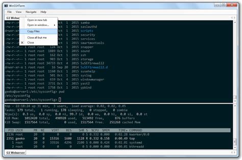 Winsshterm Review Slant