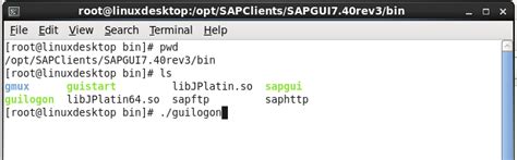 SAP GUI For JAVA Installation And Configuration SAP Community