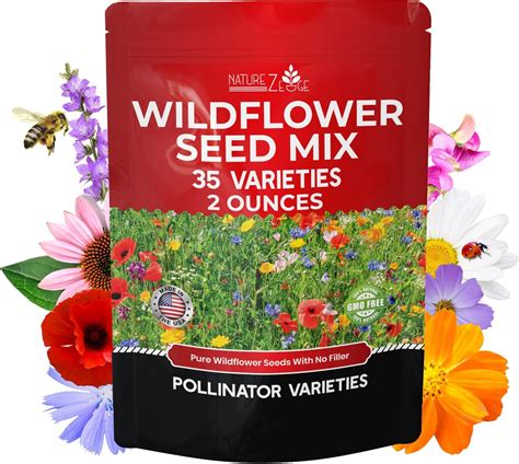 100pcs Pack Morning Glory Seeds Beautiful Perennial Flowers Seeds For Garden Qc