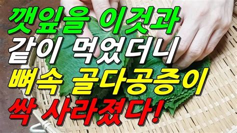 깻잎을 이것과 같이 먹으면 뼈속 골다공증이 싹 사라진다치아 잇몸 뼈 골다공증에 좋은 음식 깻잎효능 극대화시키는 법 포함 음식 좋은 음식 위염