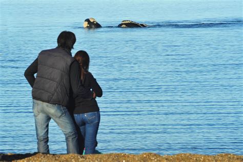 DÍa Mundial Del Turismo Turismo Madryn