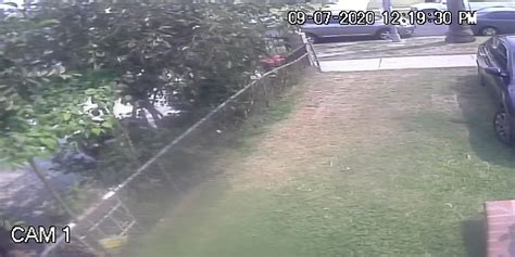 102422 Trepasser Pd2020 Flickr