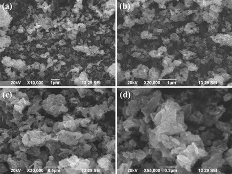 fe sem micrographs of flower like zno c nanoflowers download