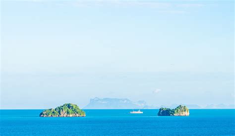 디지털포렌식 악성코드 분석 침해사고 분석 대응 자격증 실무 과정