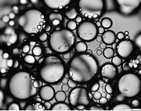 Micrograph Of Emulsion Sample Prepared At Ctac Concentration 10 Mmol