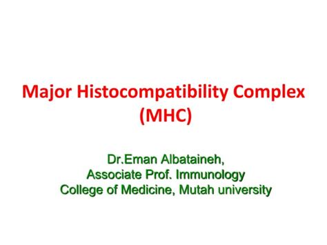 Structure And Functions Of Mhc Pdf