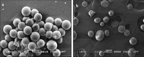 Scanning Electron Microscope Sem Images A Ps Microbead B Pha