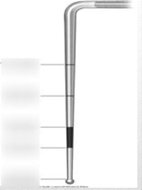 Psr Probe Diagram Quizlet Psr Probe Diagram Quizlet