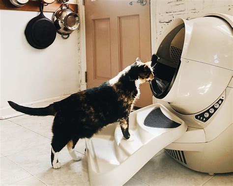 Litter Robot Connect Essentials Bundle Best Seller