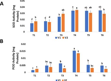 Effect Of Foliar Applications Of Green Synthesized Senps On Biochemical