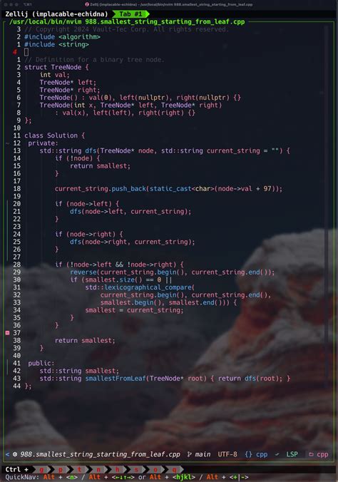 Neovim Nvim Vim Leetocode Dsa Leetcode Vito Mule