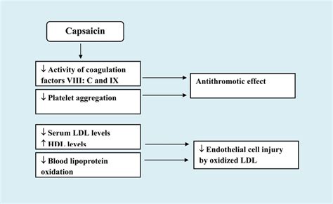 Favourable Effects Of Capsaicin Administration In Cerebrovascular Disease Download Scientific