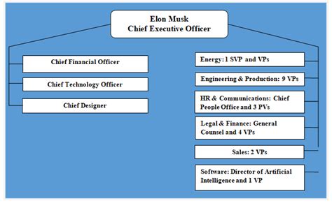 Tesla Organizational Structure Divisional And Flexible Research