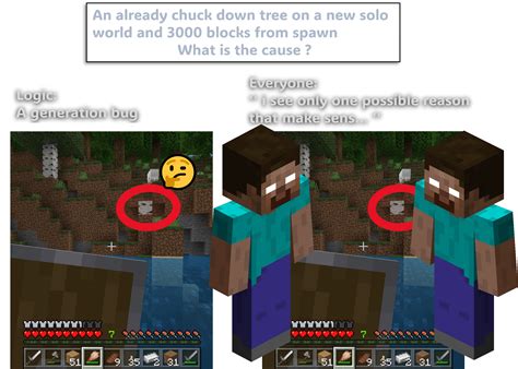 Generation Bug Herobrine Rminecraftmemes