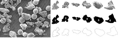 Structure And Texture Fractal Of Water Atomized Fecrmo Pre Alloyed