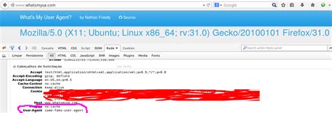 I Anonymized My User Agent But My Browser And Os Are Still Detected