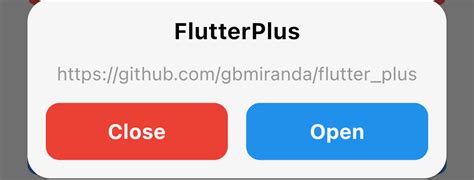 flutter plus flutter package