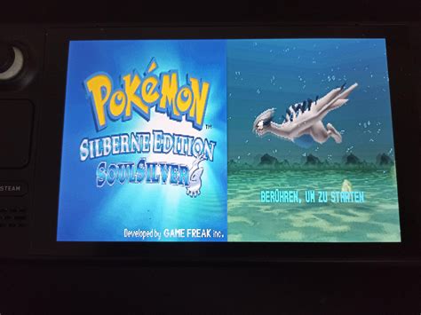 Integer Scaling Broken With Melonds Retroarch Core Rsteamdeck