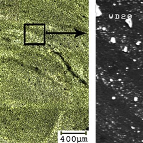 Microstructure Of The Composite Processed At 1200 Rpm 2 Pass Using A
