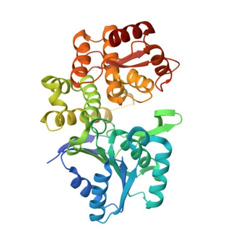 Rcsb Pdb 3qbe Crystal Structure Of The 3 Dehydroquinate Synthase Arob From Mycobacterium