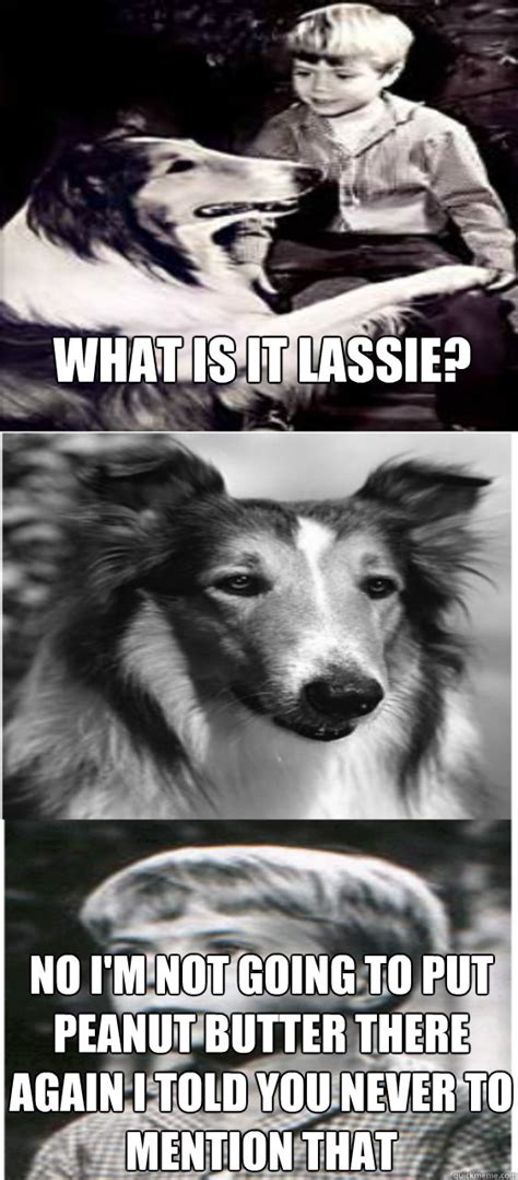 What Is It Lassie I Need To Borrow Your Dads Gun Racist Lassie