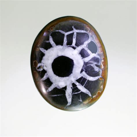 Fossilized Mud Cracks