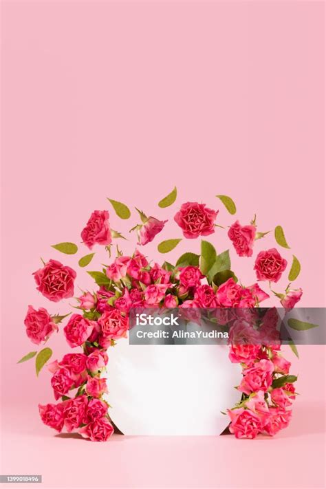분홍색 장미를 원형 아치의 프레임으로 장식 한 패션 꽃 무대 플라잉 싹의 프레임으로 플라 듐 모형 핑크색 배경에 녹색 잎 프리젠 테이션 화장품 상품 카드 포스터 수직