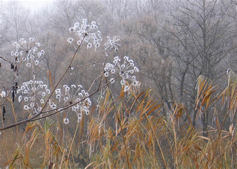 Вячеслав Степанов: Фотоконкурс Зима: разное