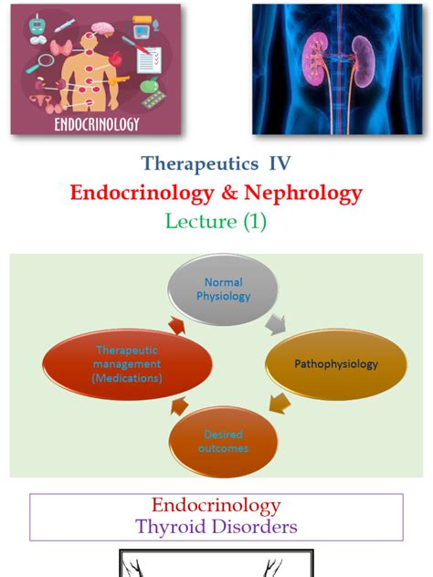 Lecture 1 Th Pdf Hypothyroidism Thyroid