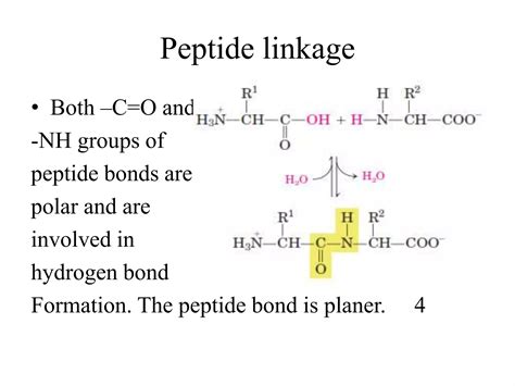 Le 17 Peptide Linkage And Chemical Pptx Chemistry Science