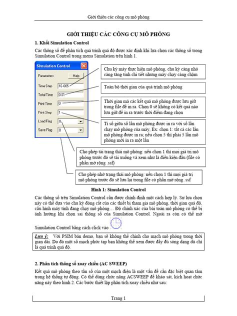 Simulation Control Pdf