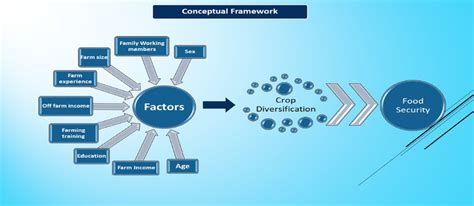 Conceptual Framework Of Crop Diversification And Food Security