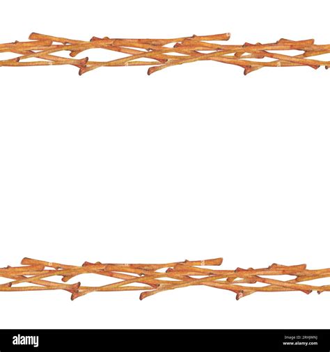 Seamless Border Twisted Tree Dry Branch Watercolor Illustration Hand Drawn Botanical Graphic