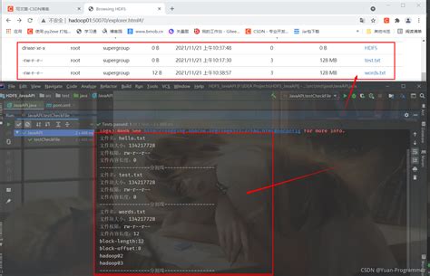 hadoop——hdfs文件系统的java api操作（上传、下载、查看、删除、创建文件）详细教学 hdfsapi怎么导入 csdn博客