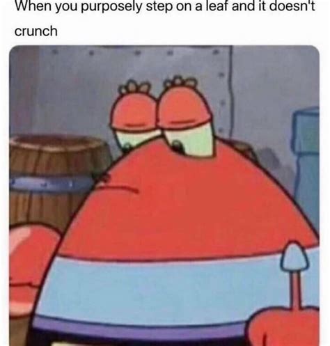 50 Hilariously Relatable Memes About Mostly