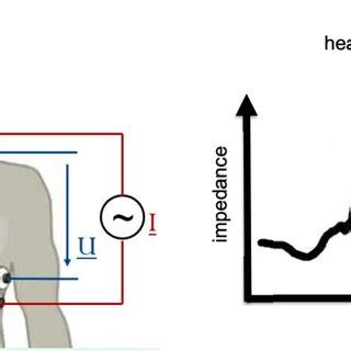 Left Experimental Setup Of ICG Right Generic ICG Signal Download Scientific Diagram