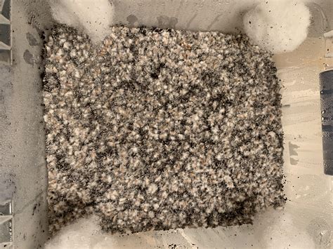 General Bulk Substrate Colonizing When Can I Add Casing Mix This Is Day 5 Colonizing Bulk