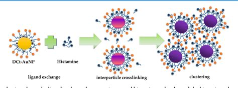 Figure 2 From Dopamine Functionalized Gold Nanoparticles For Colorimetric Detection Of Histamine