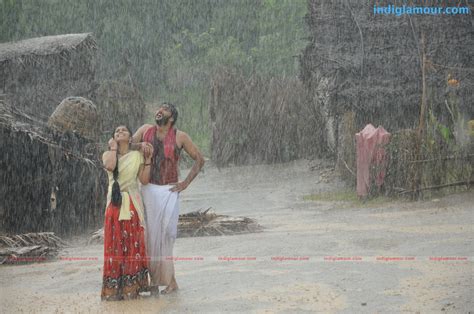 Nellu Movie Hd Photos Images Pics Stills And Picture 67257