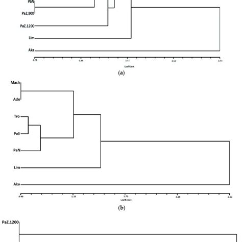 unweighted pair group method wit arithmetic average upgma dendrogram