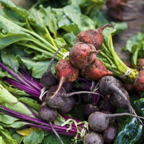 Nutrient Density Index ANDI Micronutrients Com