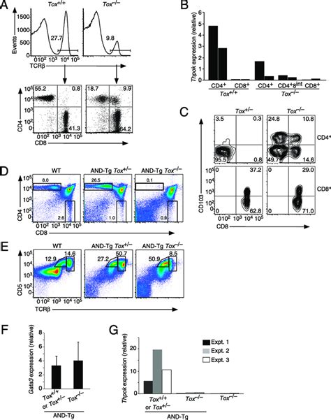 Lineage Confusion In Tox Deficient T Cells A Flow Cytometry Of