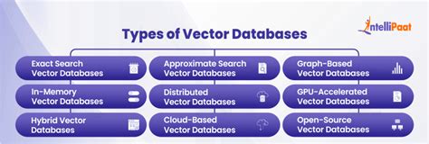 What Is A Vector Database Everything One Should Know Intellipaat