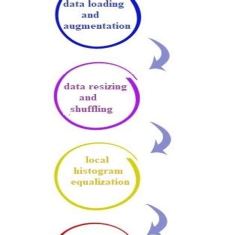 Data Preparation Process Download Scientific Diagram