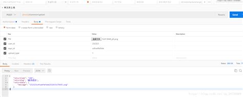 Springboot单文件多文件上传案例spring Boot2 上传文件 Json Csdn博客