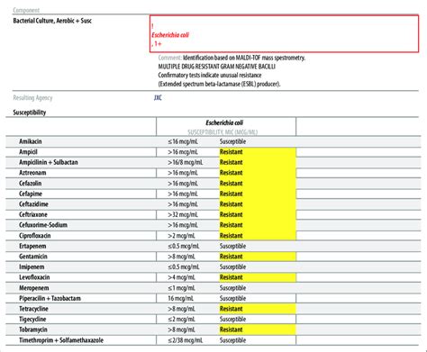 Susceptibility Test Results Mic Minimum Inhibitory Concentration Download Scientific Diagram
